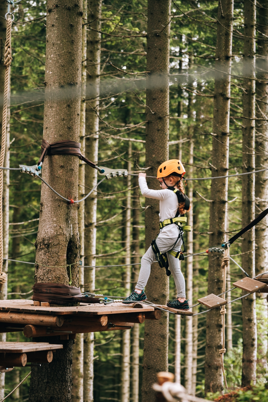 Excursion destination summer & winter - Semmering Hirschenkogel